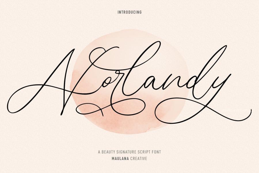 优雅奢华的细体英文花体签名字体 Norlandy 艺字网